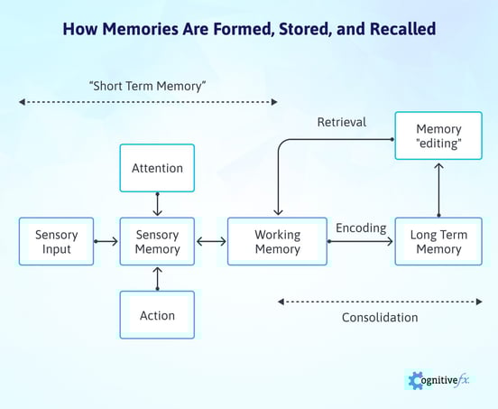 Memory Loss After COVID-19: Causes and Treatment